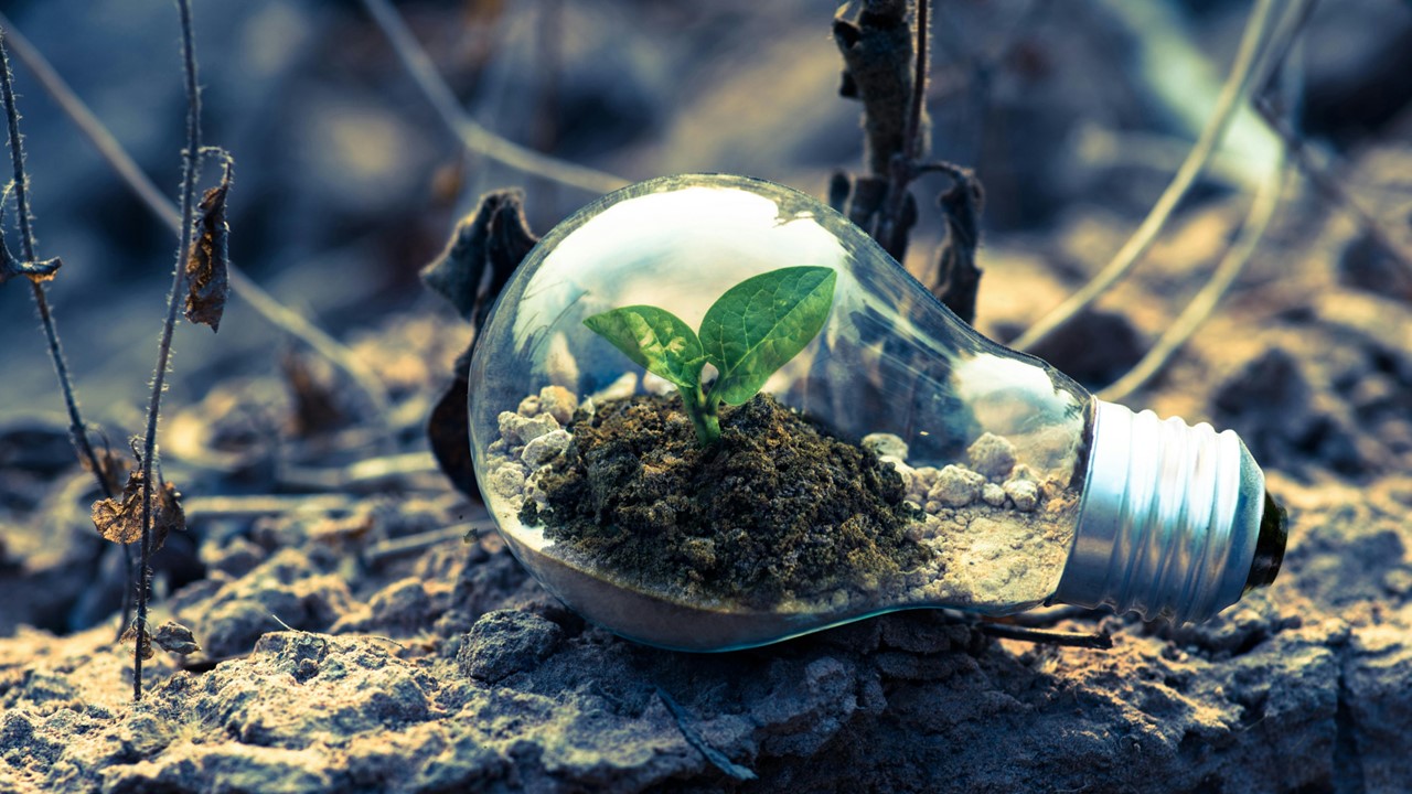 Lean Airlines: Boarding for Net Zero - Zero Excuses